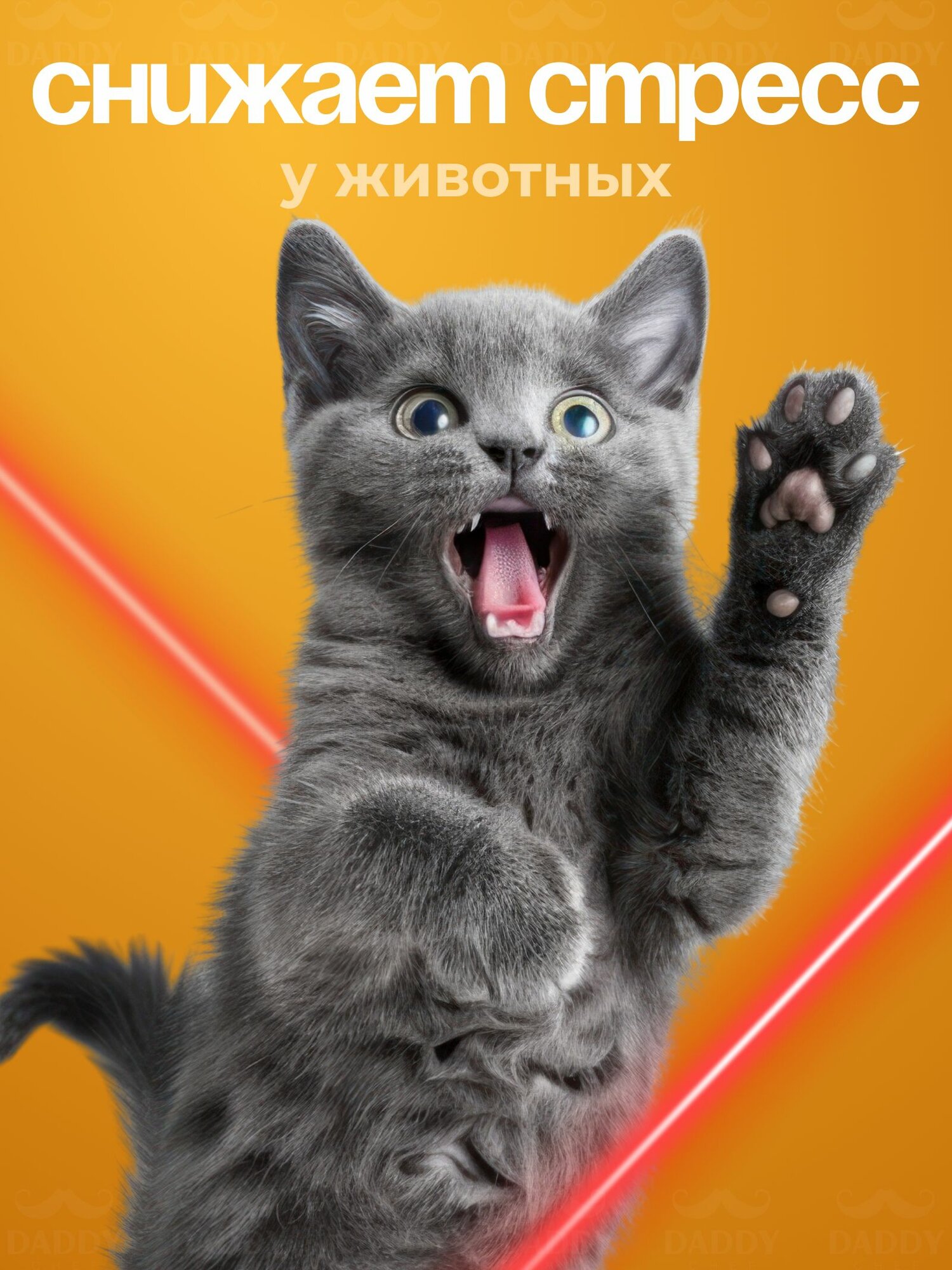 Игрушка для животных — фото 1