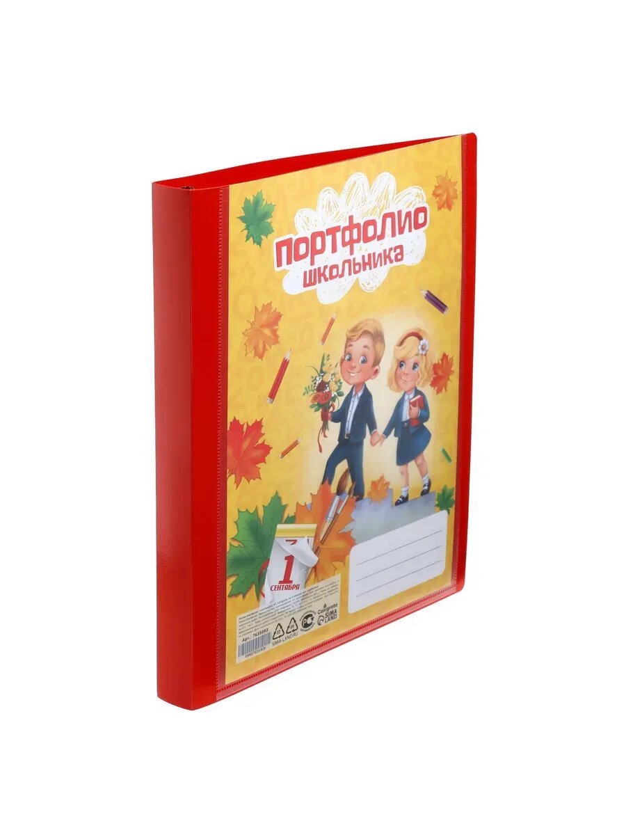 Папка-портфолио А4, пластиковая, на 4 кольцах, без вкладышей