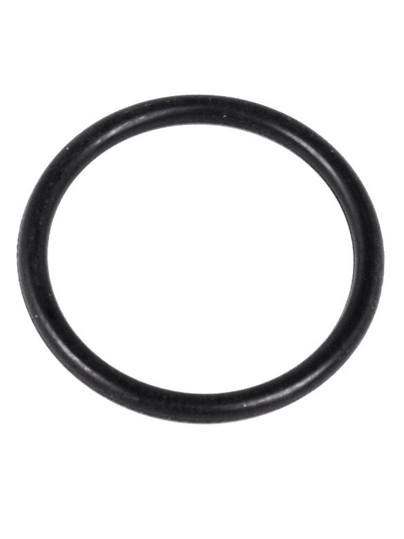 Кольцо уплотнительное для мойки CHAMPION HP5210, 5240, 6140, 6171 манжеты высокого давления 20х2 мм