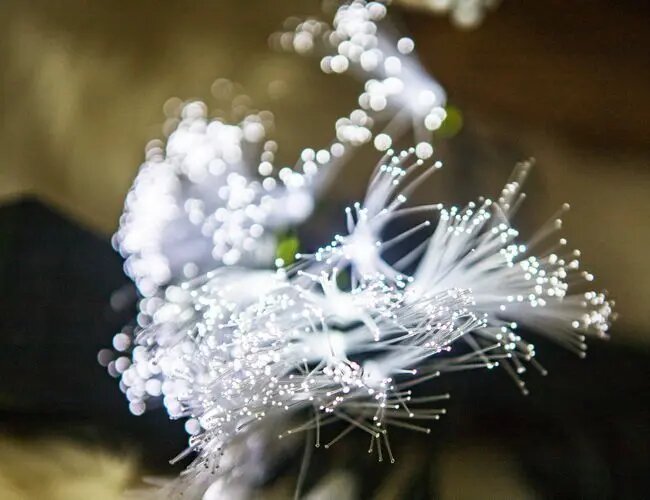 Электрогирлянда "Белые кисточки", 48 LED-ламп, 5+1,5 м, зеленый провод, контроллер, SNOWHOUSE