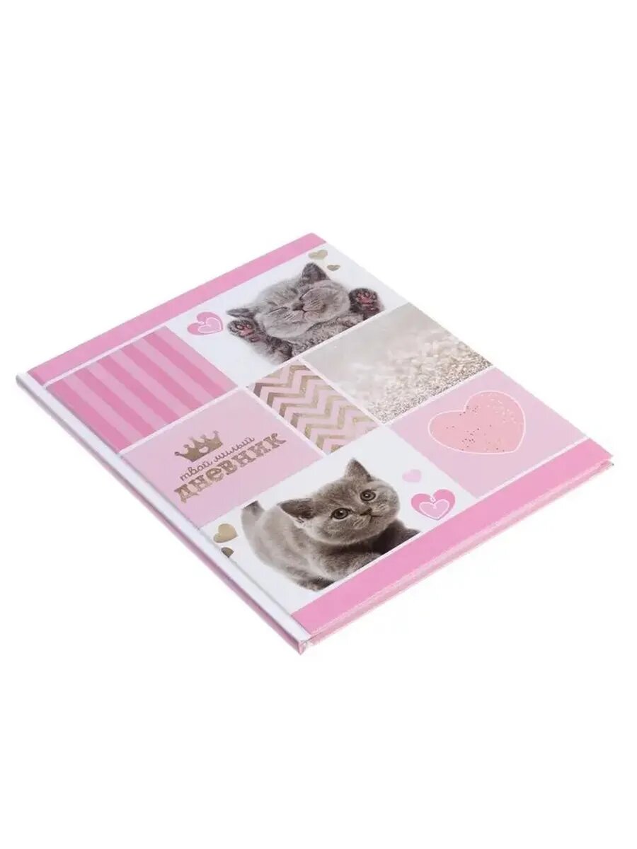 Милый школьный дневник для младших классов