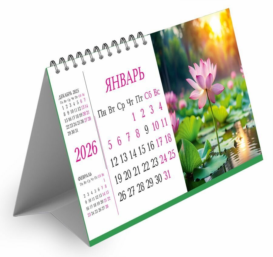 Календарь настольный горизонтальный "домик" на 2026 год, "Розовый лотос"