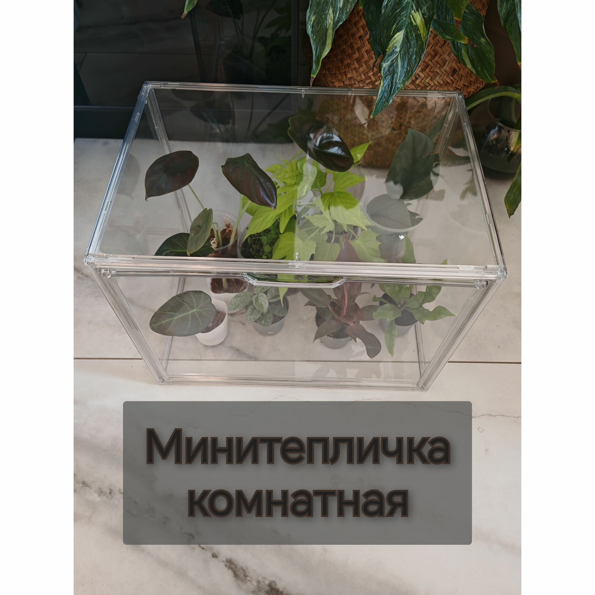Мини-тепличка, комнатный парник 37см*27см*23см