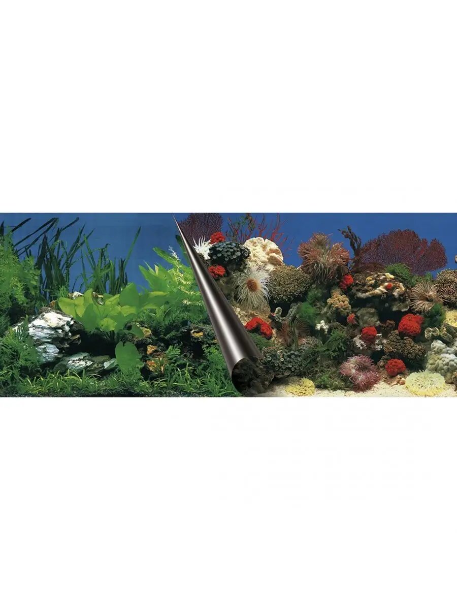 Фон для аквариумов "Stone & Coral", 120х50см