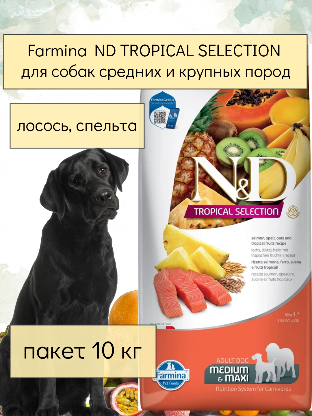 Farmina N&D TROPICAL SELECTION MEDIUM/MAXI сухой корм для собак средних и крупных пород, лосось 10 кг