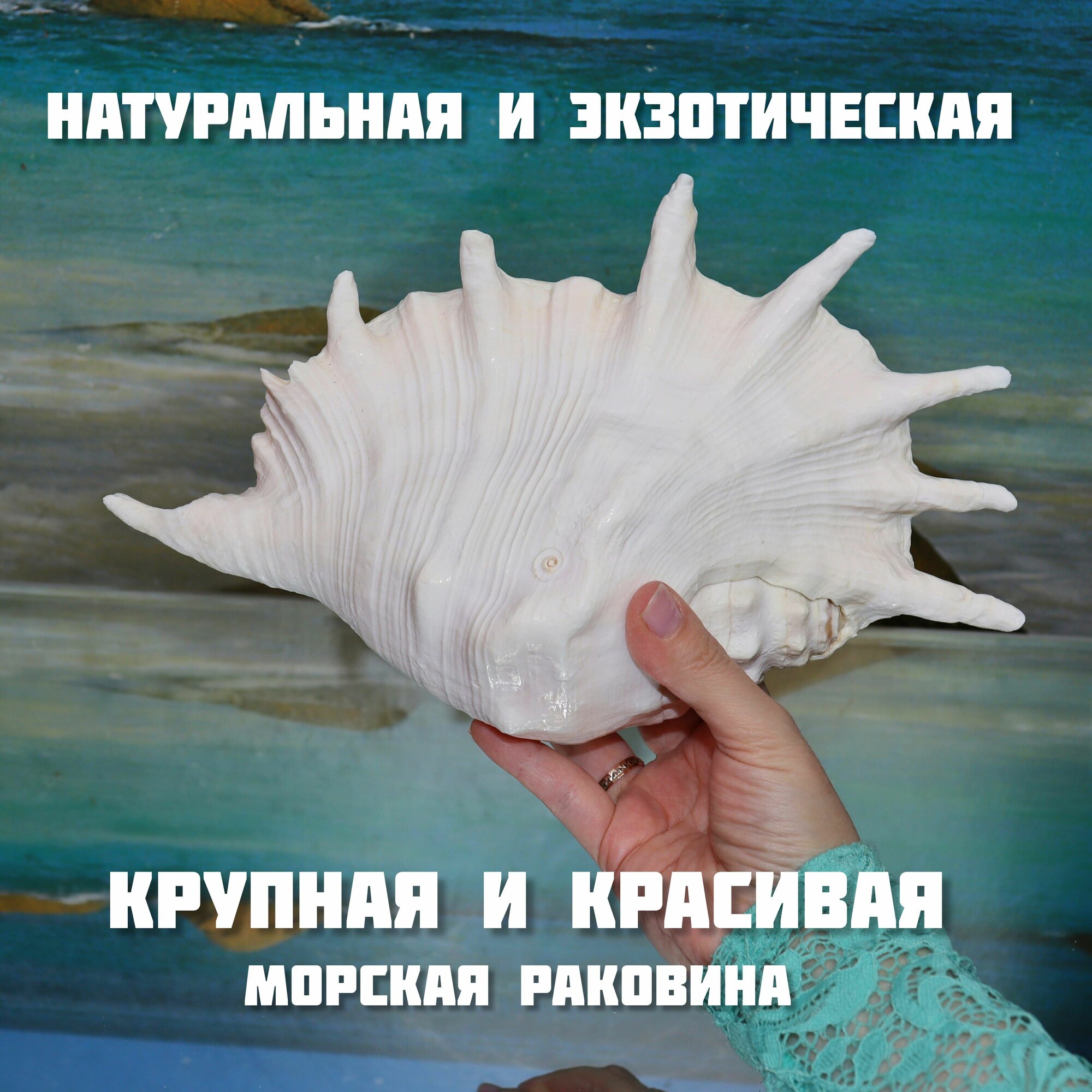 Украшение настольное интерьерное — фото 1