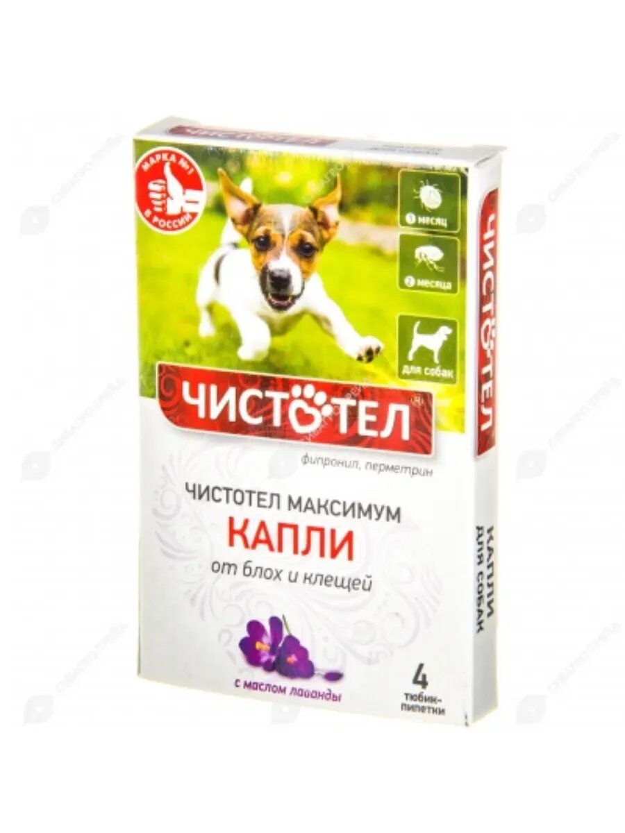 Чистотел максимум капли для собак, 4 пипетки