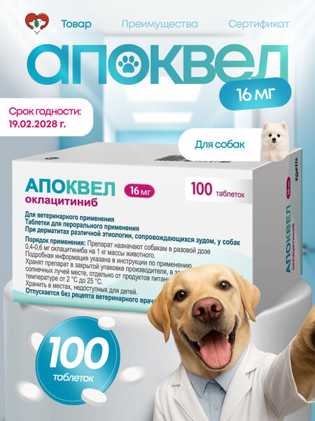 Таблетки Zoetis Апоквел, 16 мг, 100шт. в уп. от аллергии и зуда