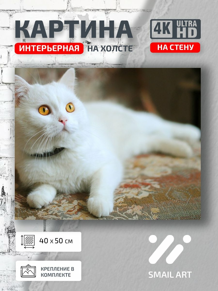 Картина на холсте интерьерная 40 на 50 на стену Глазами Animal для детской animal style