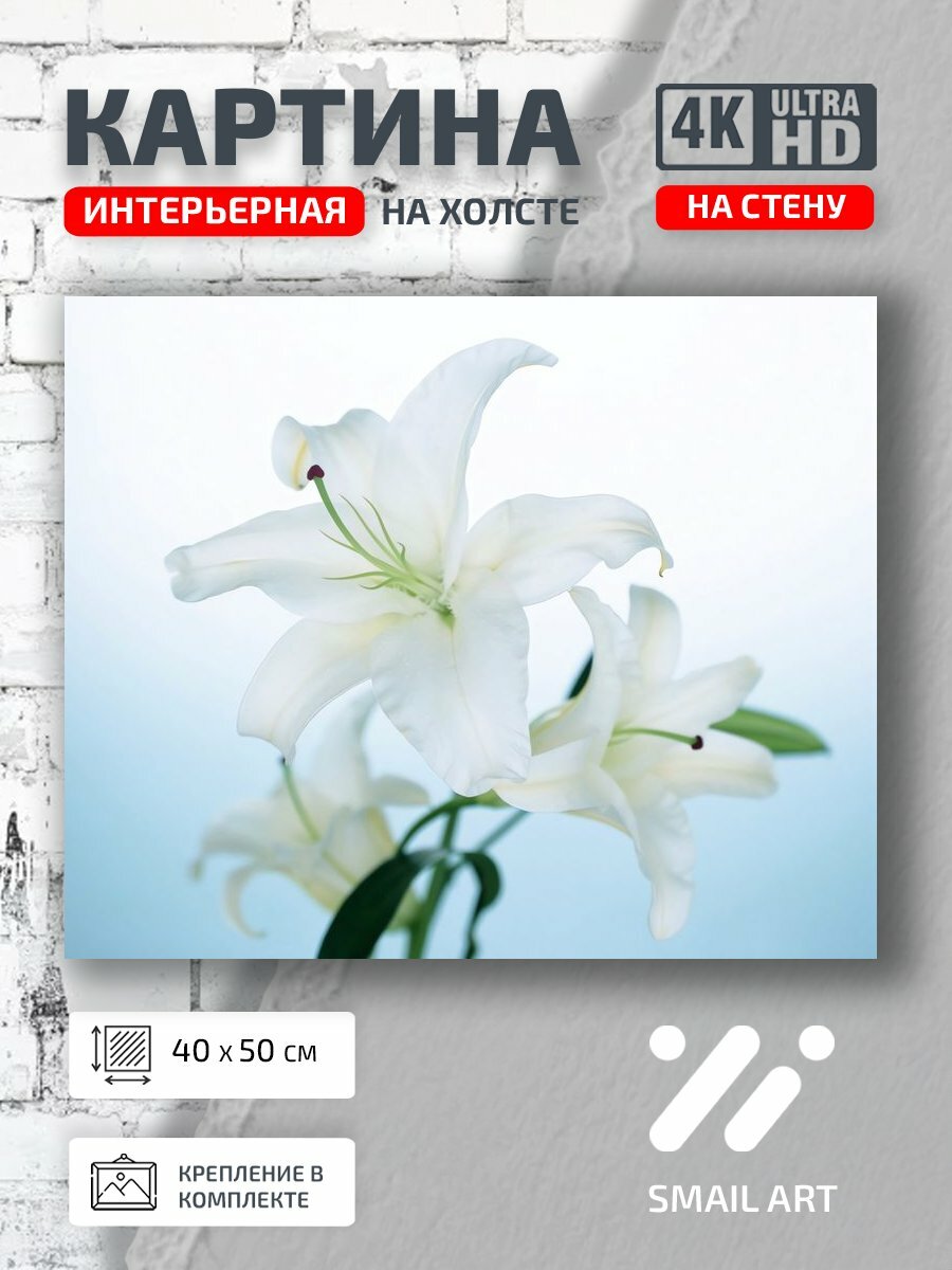 Картина на холсте интерьерная 40 на 50 на стену Лилии Holiday для гостиной праздник декор