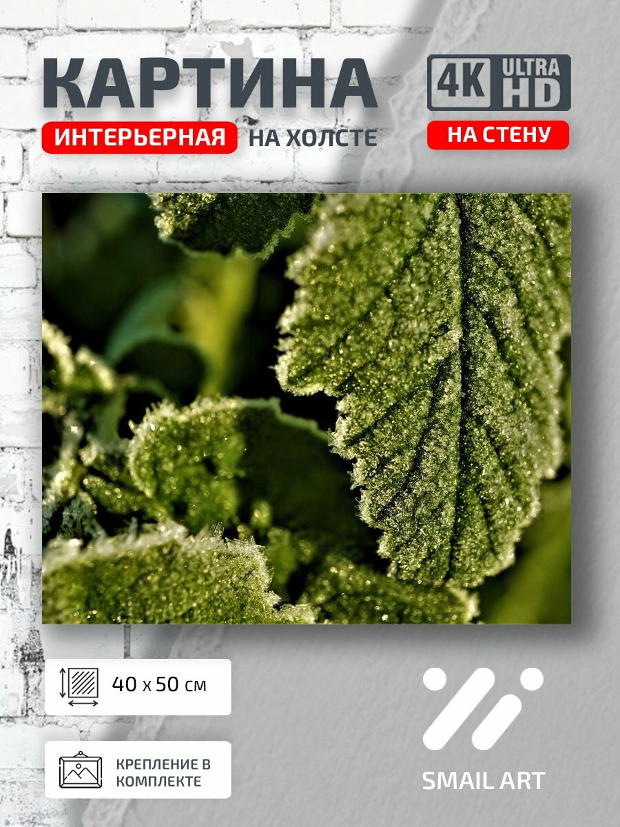 Картина на холсте интерьерная 40 на 50 на стену Зима Landscape для кафе пейзаж интерьер