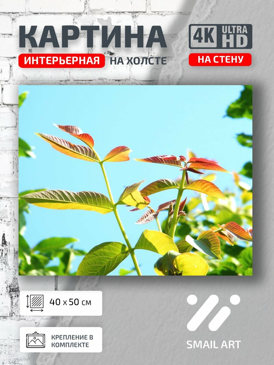 Картина на холсте интерьерная 40 на 50 на стену Небо Mood для кабинета атмосфера интерьер