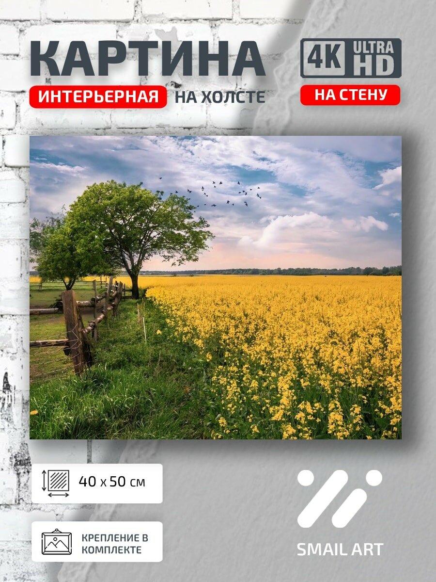 Картина на холсте интерьерная 40 на 50 на стену рапс забор для спальни пейзаж