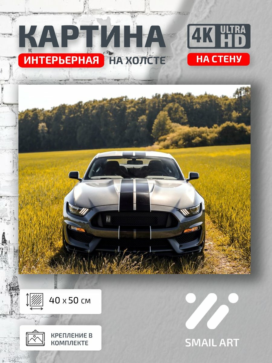 Картина на холсте интерьерная 40 на 50 на стену Поле Landscape для офиса пейзаж интерьер