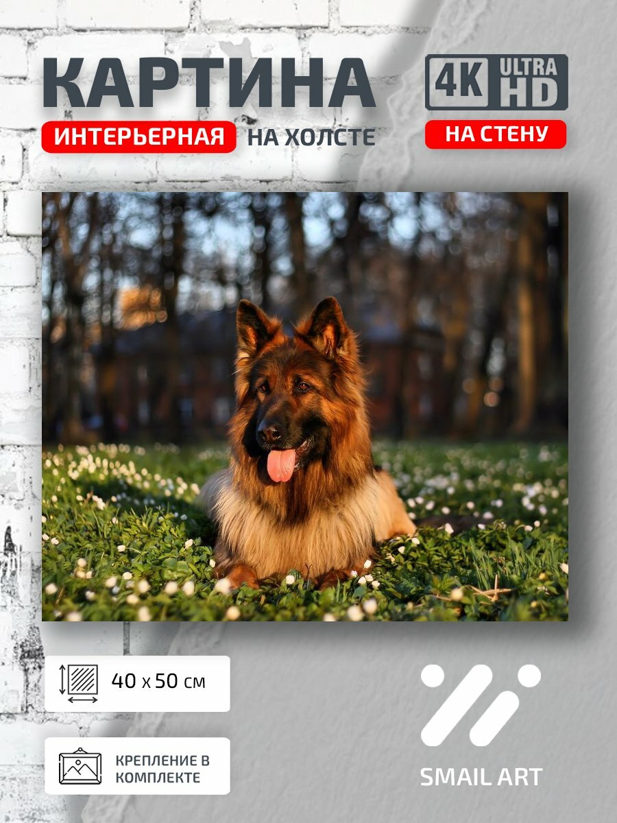 Картина на холсте интерьерная 40 на 50 на стену Подснежниках Mood для студии атмосфера