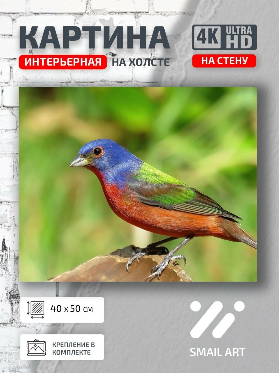 Картина на холсте интерьерная 40 на 50 на стену птицы боке для офиса атмосфера