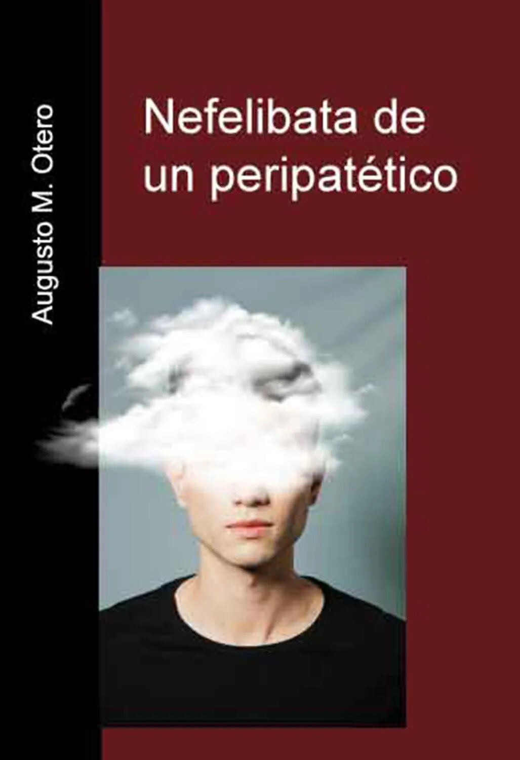 Nefelibata de un peripatético [Цифровая книга]