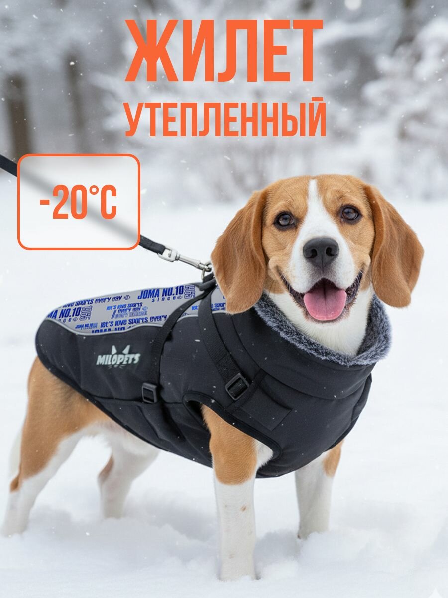 Зимний жилет для собак средних пород MiloPets, с шлейкой, 2XL