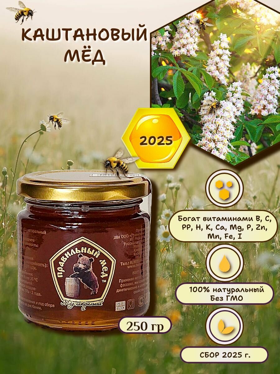 Мёд натуральный Каштановый 250гр. (сбор 2025г.), Правильный мёд
