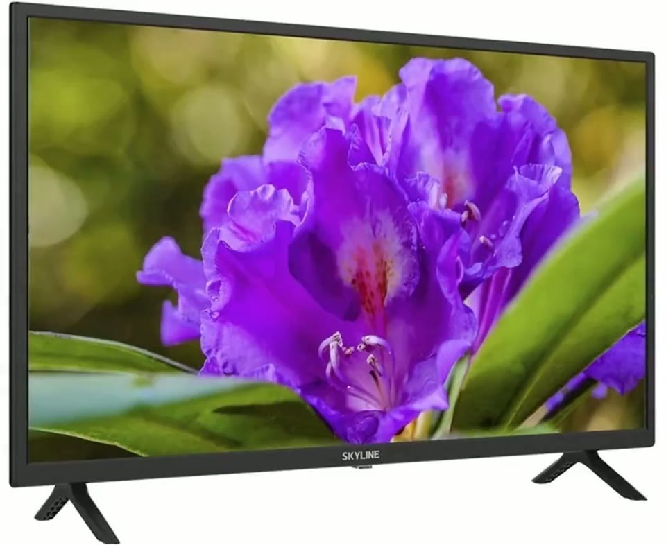 Телевизор HD SKYLINE 32YT5900-T2 32.01", 1280x720 HD, 50 Гц, черный — фото 1