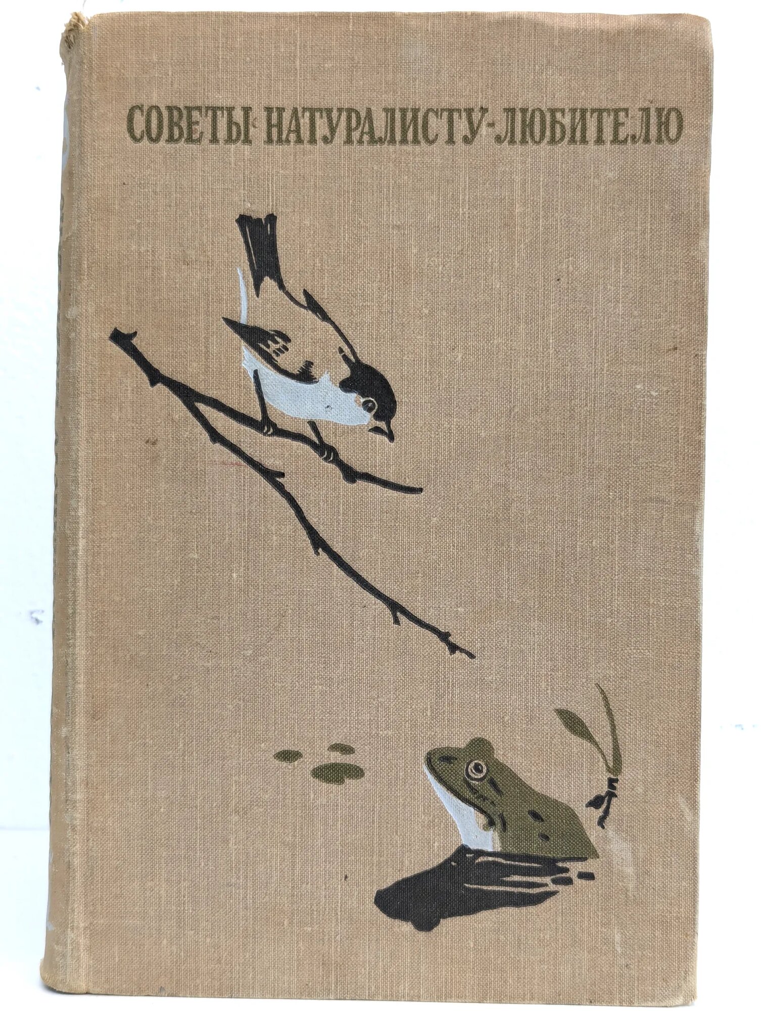 Советы натуралисту-любителю Успенский Савва Михайлович, Сосновский Игорь Петрович, Афонская Р, Загоруйченко Р. 1956