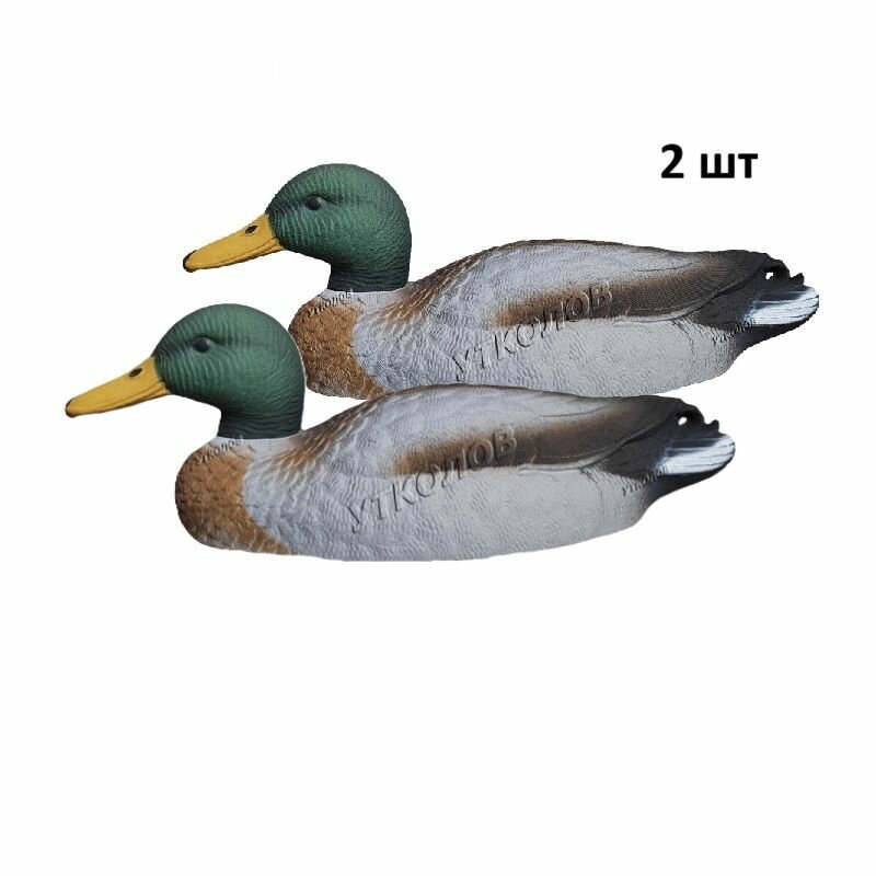 Чучело разборное утки "Кряква селезнь рельеф". (2 шт) Съемная голова. Чучело для охоты.