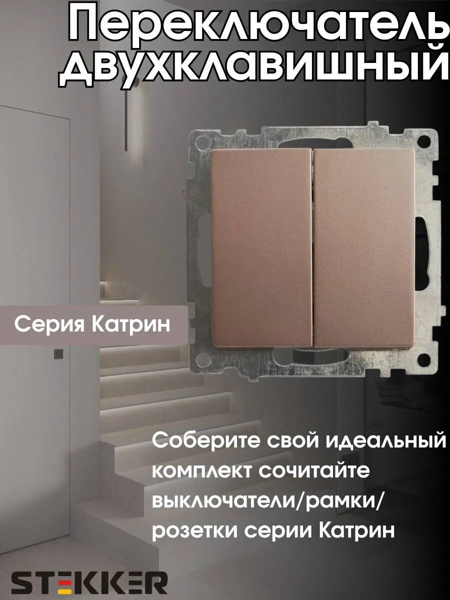 Переключатель двухклавишный (механизм)