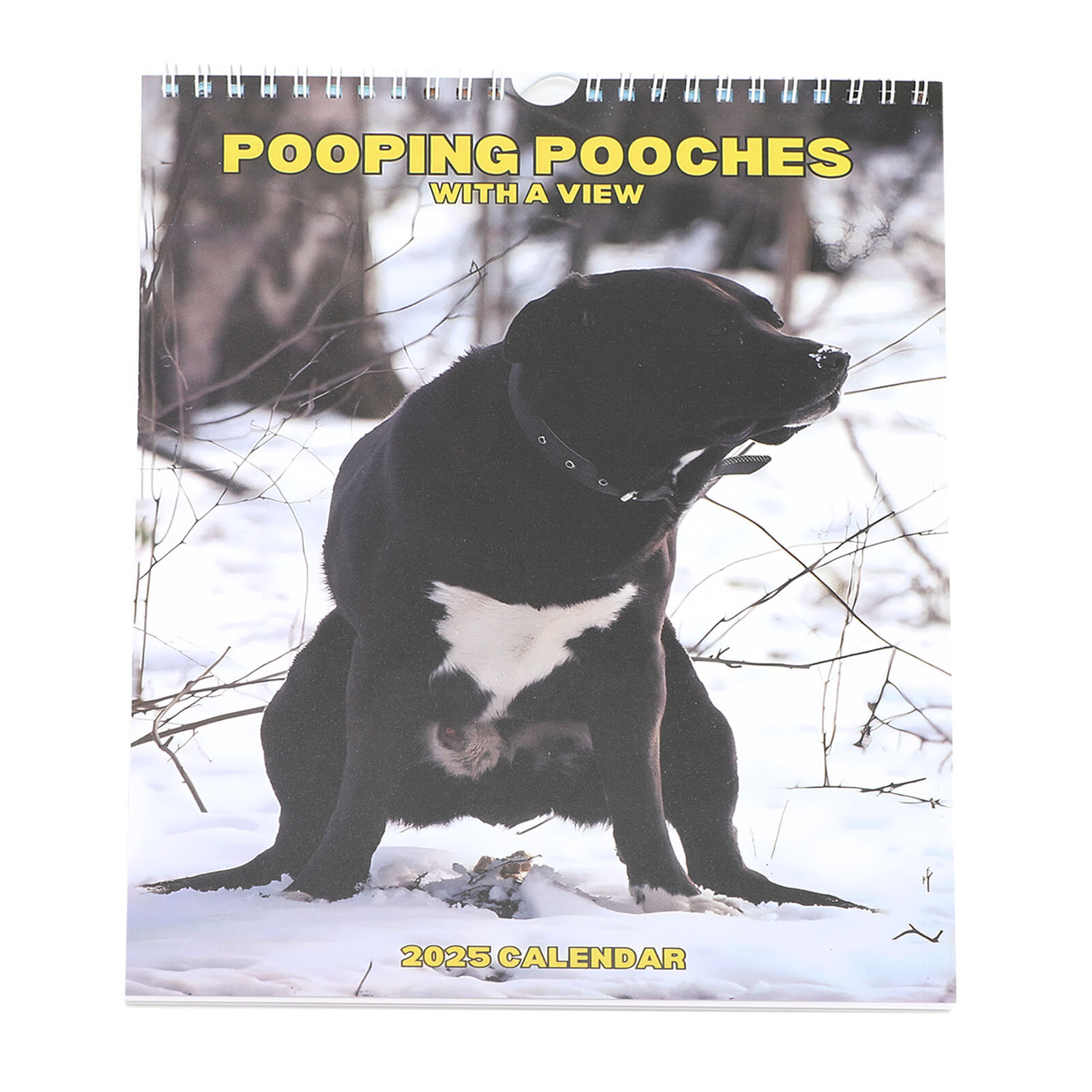 Календарь с рисунком собаки на 2025 год, настенный планировщик, подвесной кляп, подарок, плотная бумага для семьи