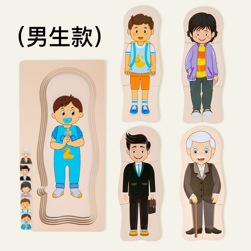 Детская развивающая игрушка Монтессори «Человеческая структура»: головной мозг, органы тела, познавательные игры,