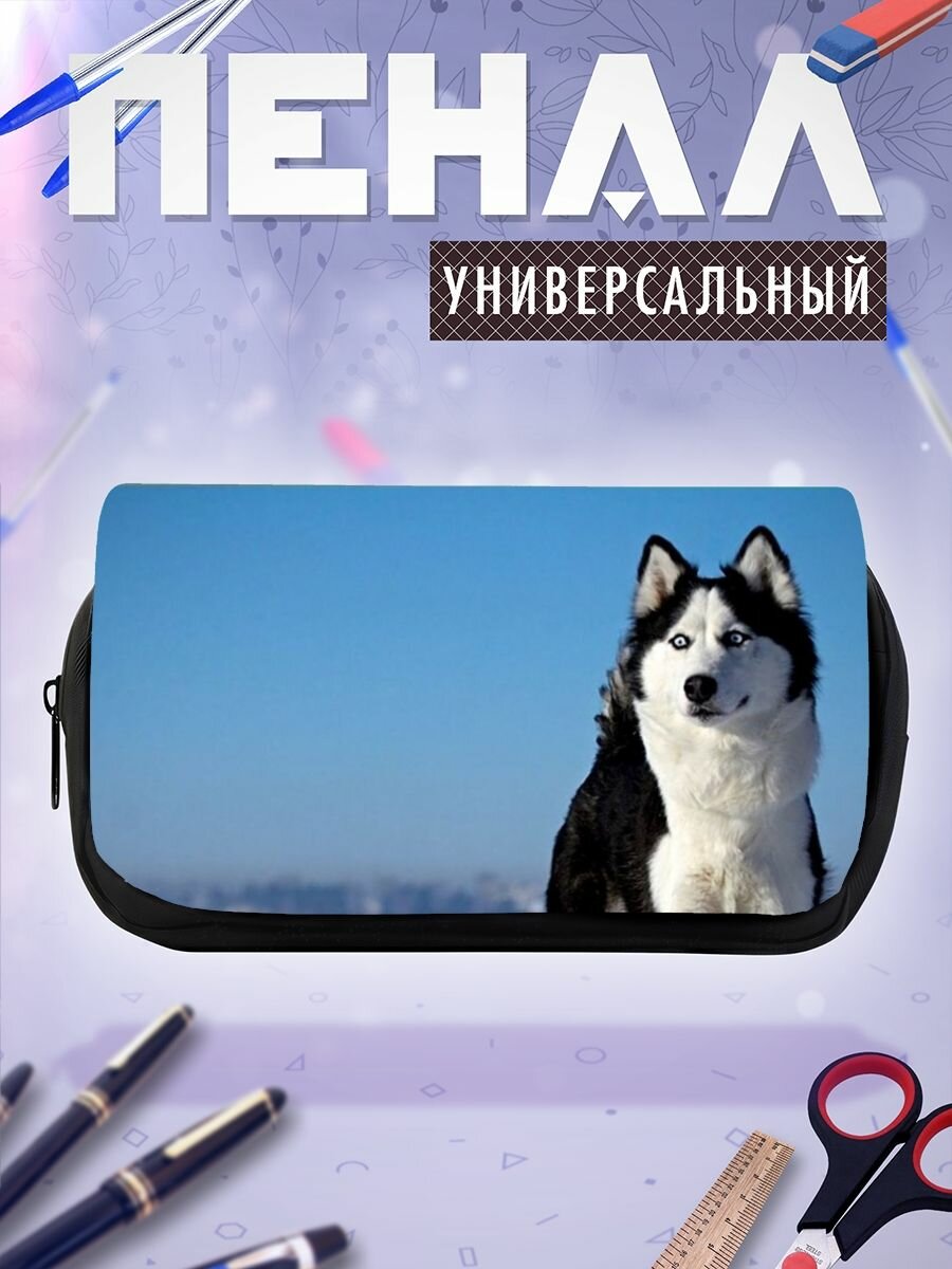 Пенал косметичка Себирская Хаски хаски