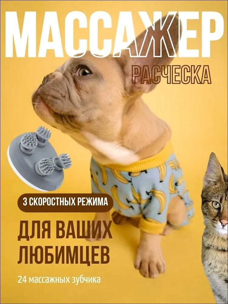 Массажер для кошек и собак Многофункциональный массажер для людей и домашних животных (кошек и собак)