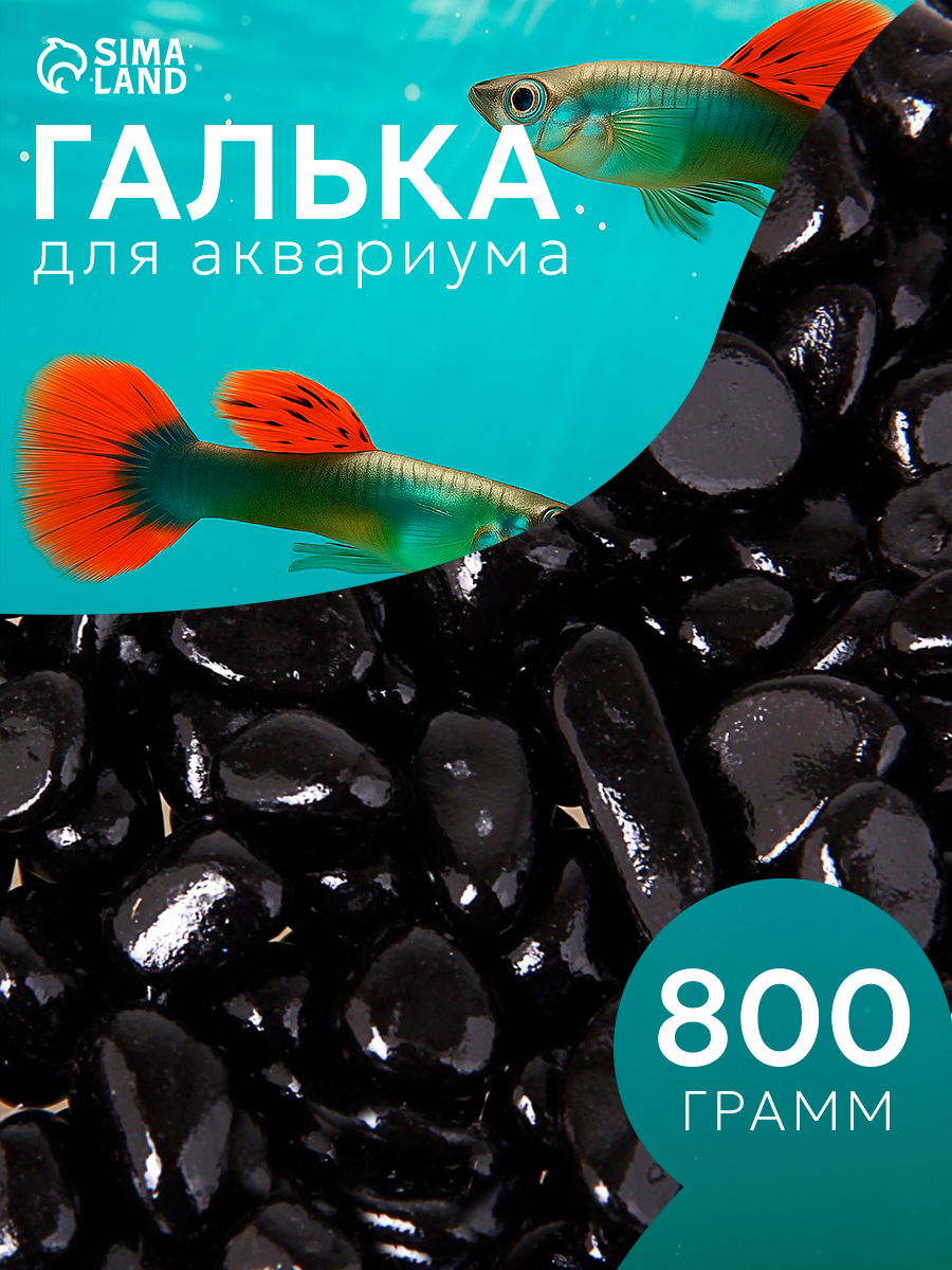 Грунт для аквариума «Галька цветная» фр 8-12 мм, чёрный, 800 г