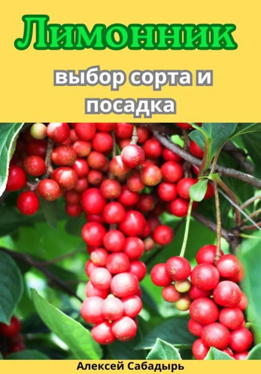Лимонник: выбор сорта и посадка [Цифровая книга]