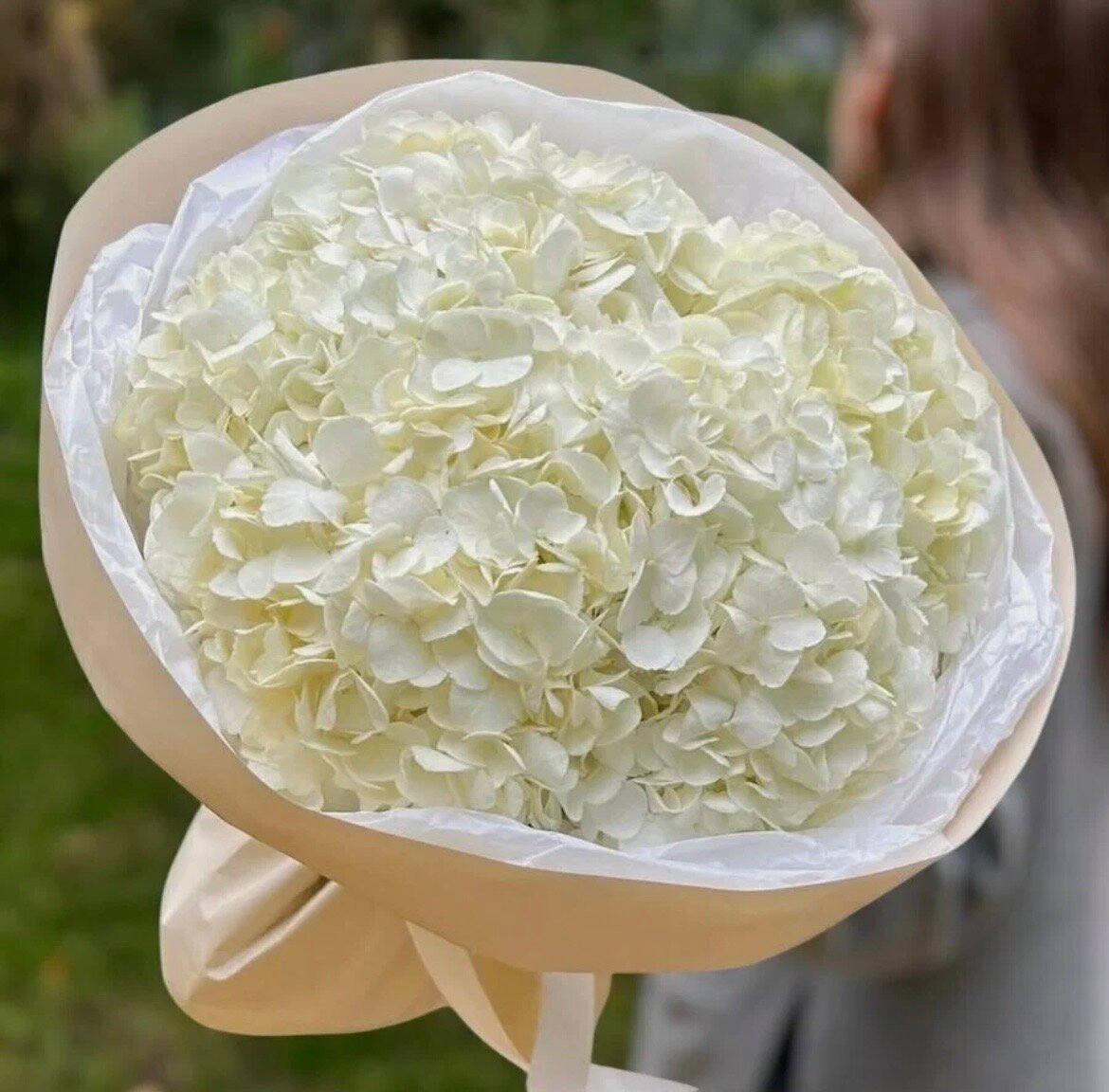 Букет из белых гортензий 9 шт, красивый букет цветов, шикарный, премиум цветы, премиум букет