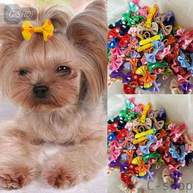 C-shop-Украшение из резинок "Бант Йорки" для маленьких собак (набор из 10 штук)