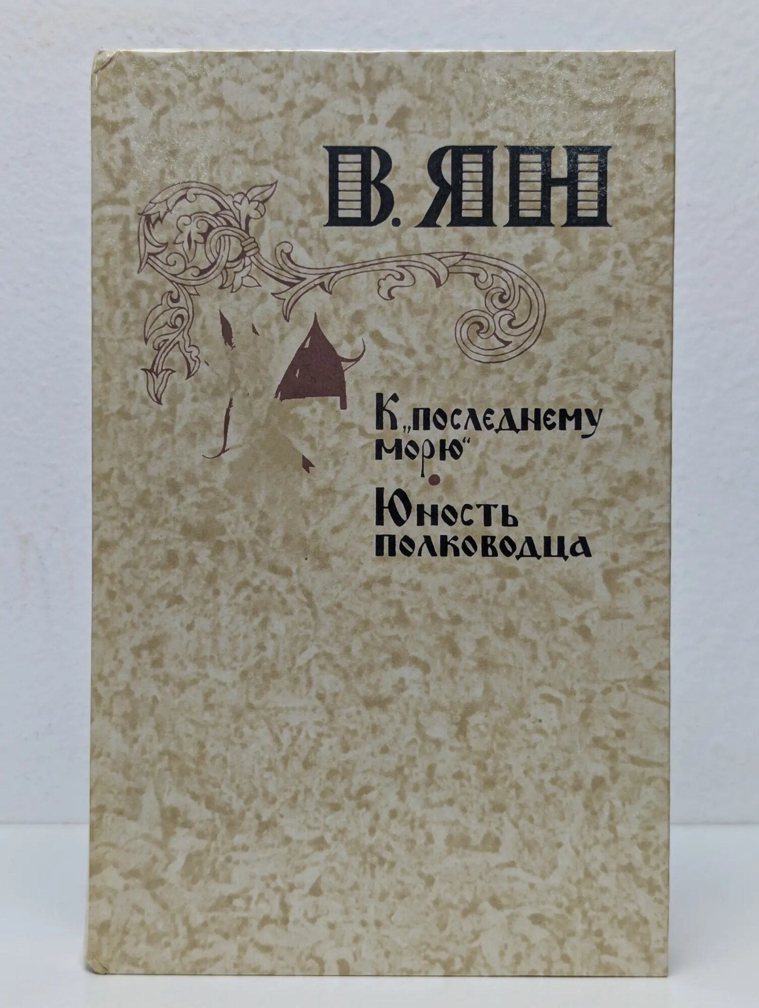 К "последнему морю". Юность полководца Ян Василий Григорьевич 1981
