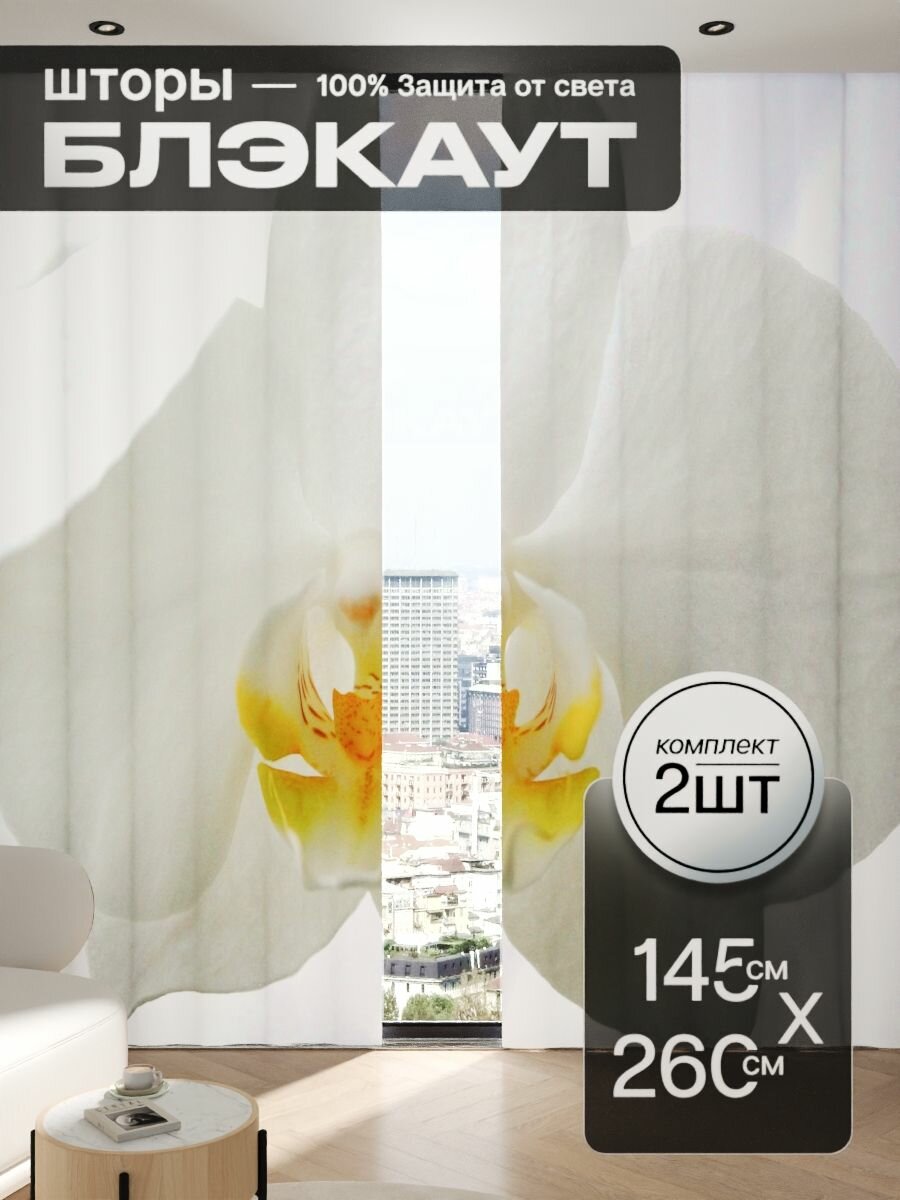 Шторы блэкаут 145x260 см 2 шт на окна плотные комплект