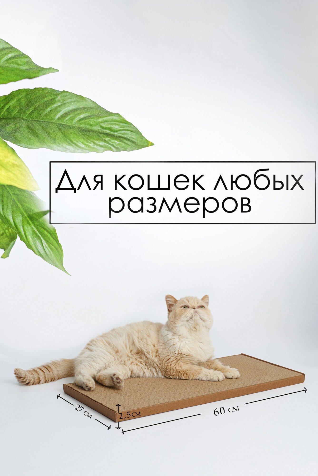 Когтеточка-лежанка "Зверьё моё" кэтмэн, картон, 60 см х 27 см х 2,5 см