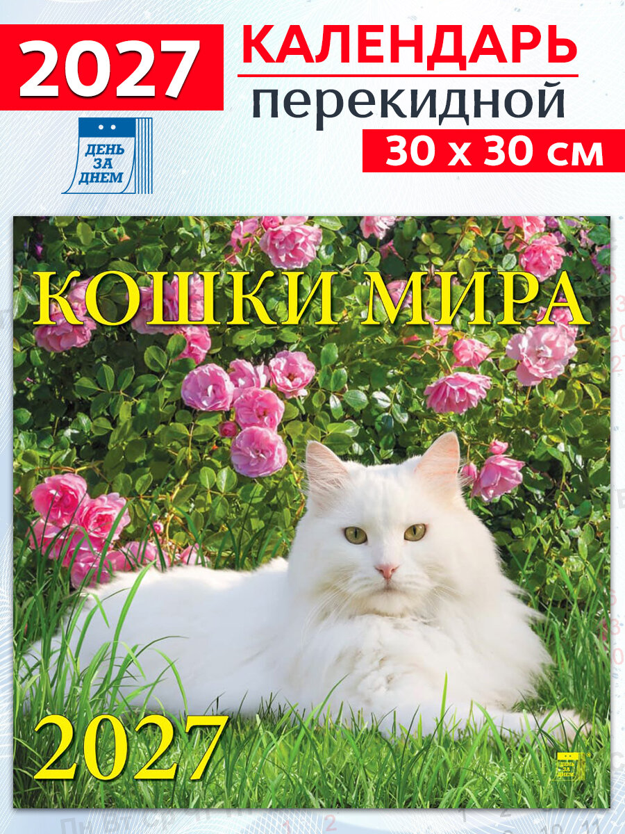 День за днем Календарь на 2027 год: "Кошки мира" 300х300 мм