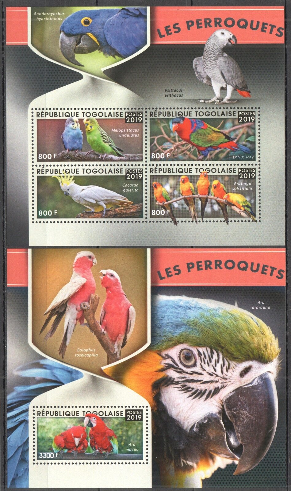 Марки 2019 год Того Попугаи Птицы Фауна #6588-6591+Bl1498 Mnh
