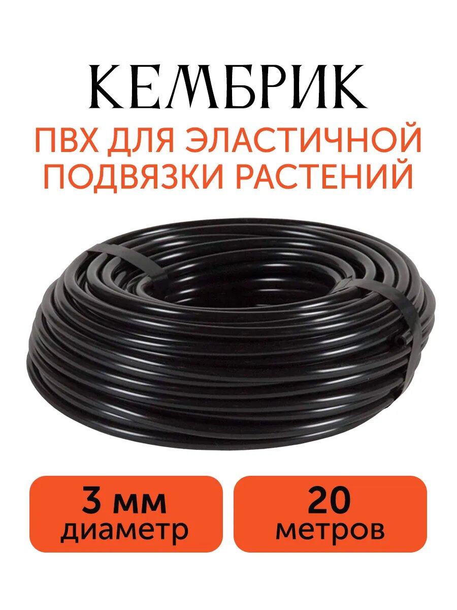 Кембрик