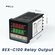 REX-C100 PID Термостат, C100 Relay Output