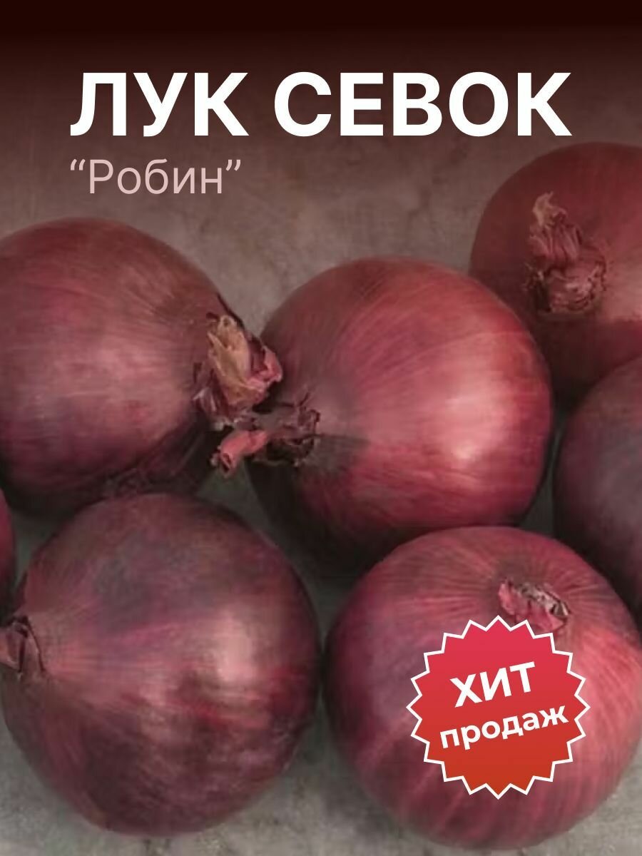Лук севок на посадку "Робин" 500г