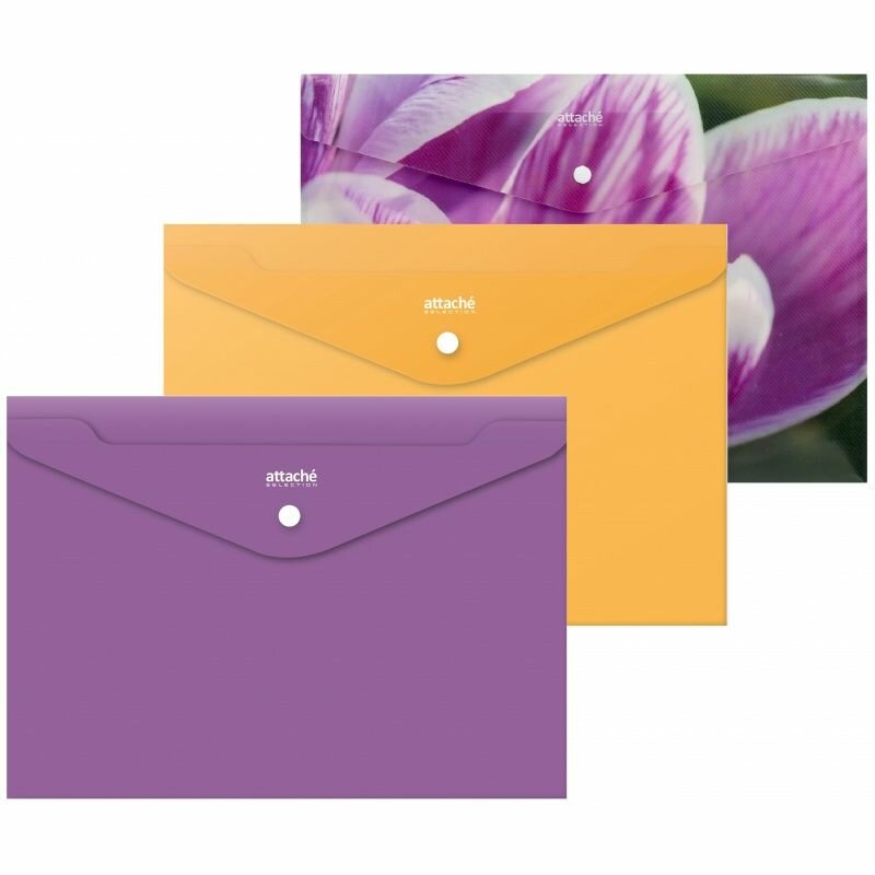 Папка-конверт на кнопке Attache Selection Crocus