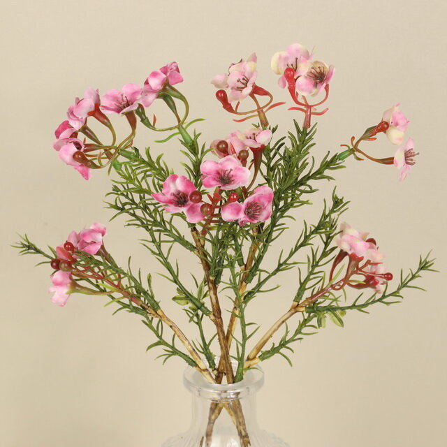 Искусственные ветки Хамелациум - Carmona 27 см, 2 шт, EDG, 214545-55-набор