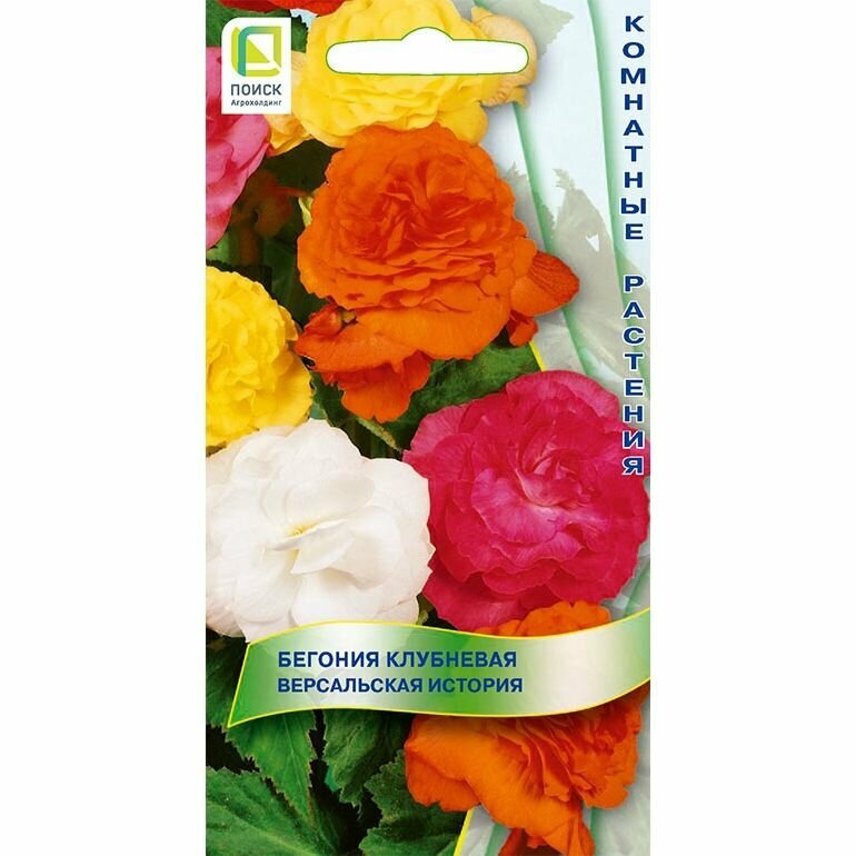 Семена цветов поиск Бегония клубневая Версальская история, многолетник, 15 шт