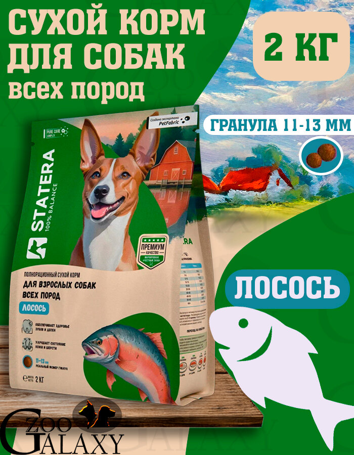 STATERA Корм сухой для собак с лососем 2 кг