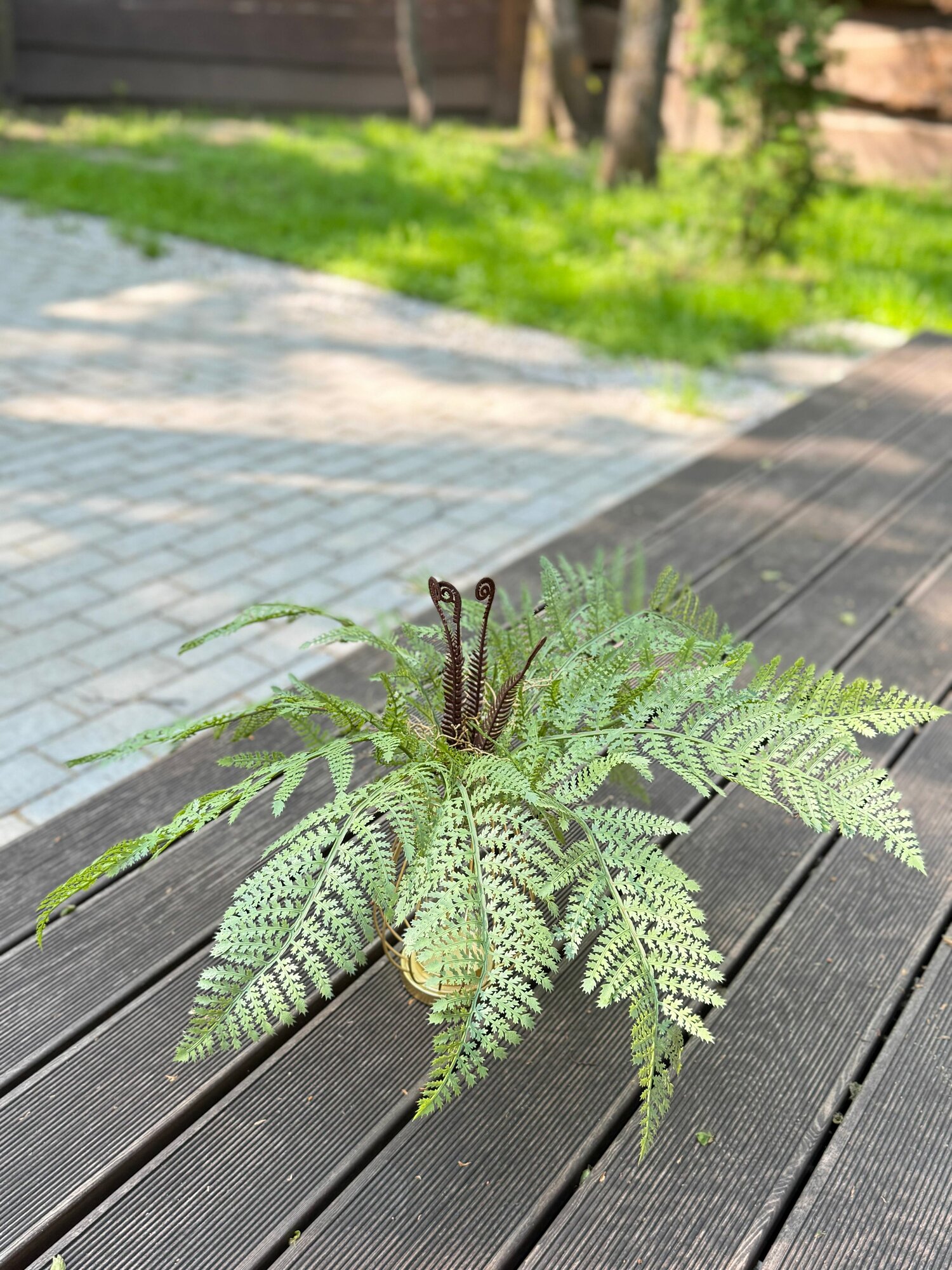 Папоротник с корнями, 50х80см, коричнево-зеленый, декоративный (ботаническая копия) диаметром 80см