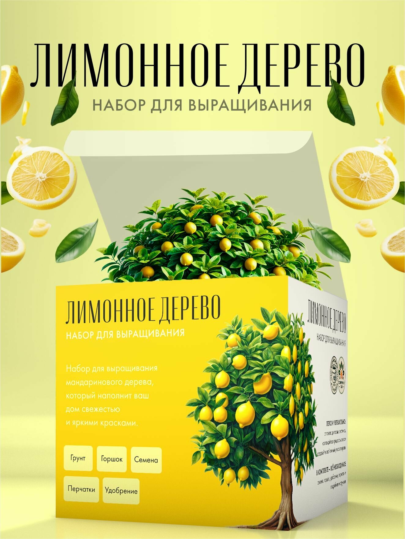Набор для выращивания "Лимонное дерево", цитрусовое растение дома