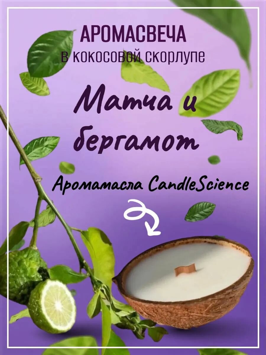 Аромасвеча XL CandleScience Матча и бергамот